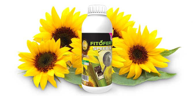 Biostimulative Fertilizers – Fitofert EN